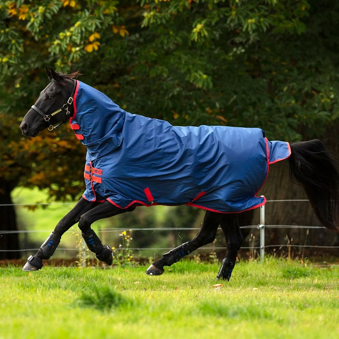 Mio All In One Rainsheet - Dark Blue/Dark Blue/Red | www.applesaddlery ...