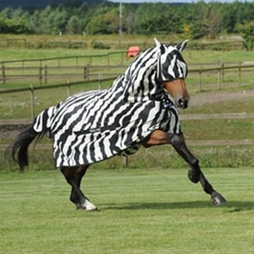 Bucas Buzz-Off Fly Sheet - Zebra | www.applesaddlery.com | Equestrian ...