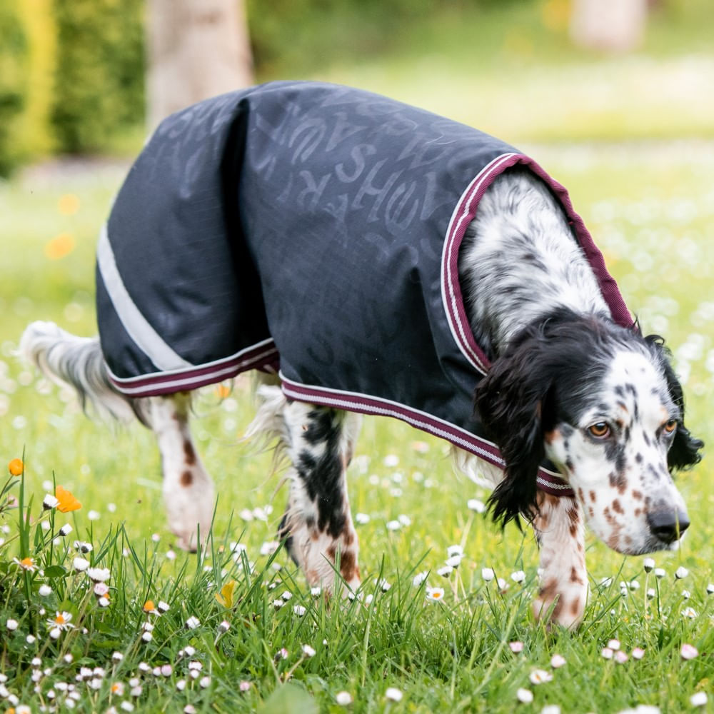 Amigo Ripstop Waterproof Dog Rug - Navy HW Print/Burgundy & White
