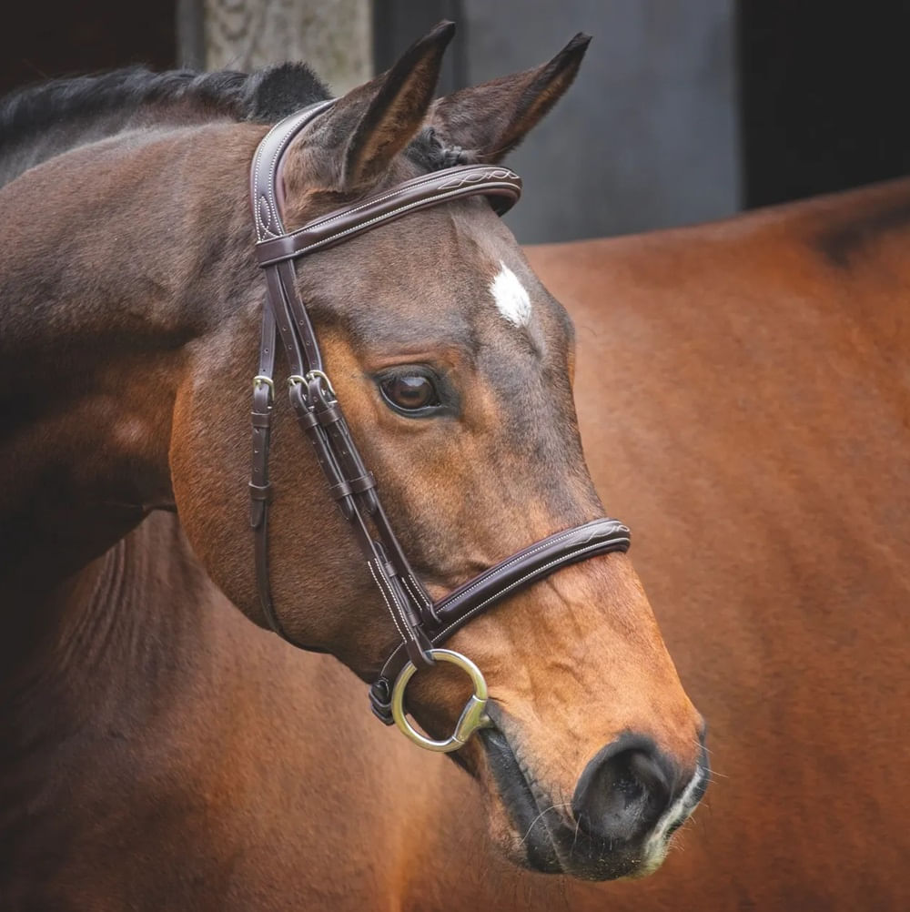 , Lussi Hunter Cavesson Bridle, Avignon 51000