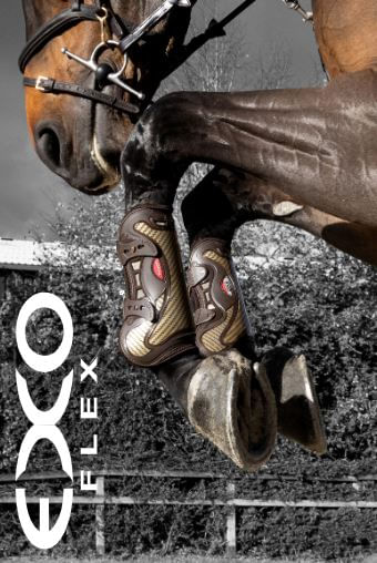 , Exo-flex Tendon Boots-brn/gold, Lemieux It0336000