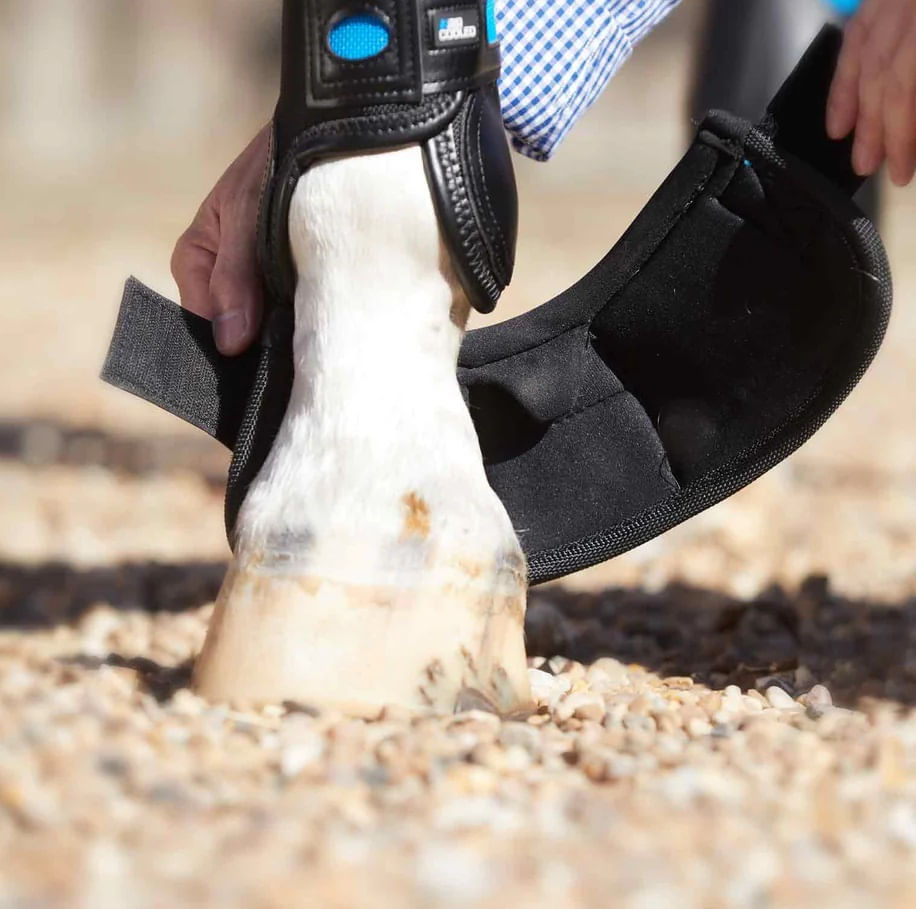 , Pei Basslistic Bell Boot-black, Premier Equine 1022-black